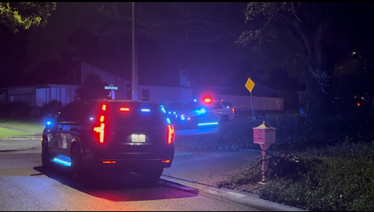 Detectives Investigate Apparent Murder-Suicide in Dunedin - IONTB