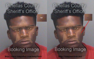 Booking Photos - Pinellas County Sheriff's Office (Update) - IONTB