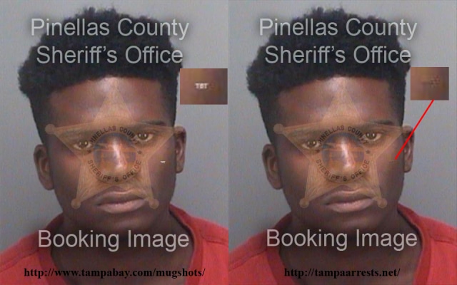 Booking Photos - Pinellas County Sheriff's Office (Update) - IONTB