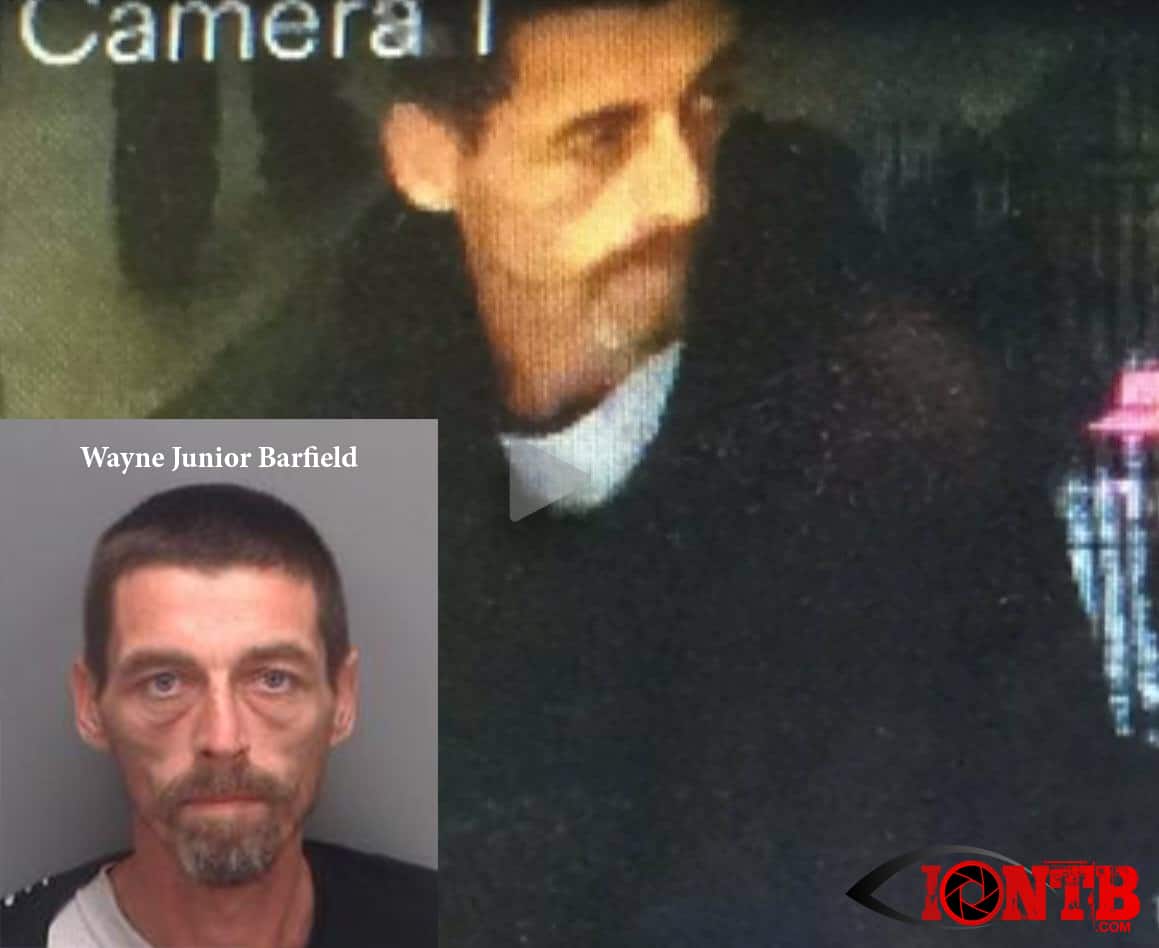 Deputies Arrest Man Days After Stealing 9 Week-Old Yorkie From Largo ...