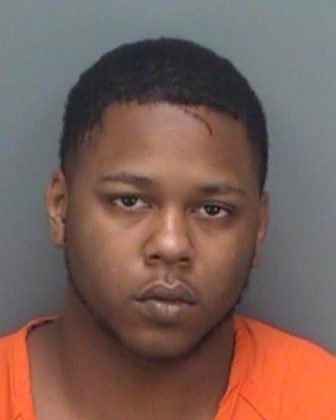 Vehicular homicide suspect in the Pinellas County jail now charged with ...