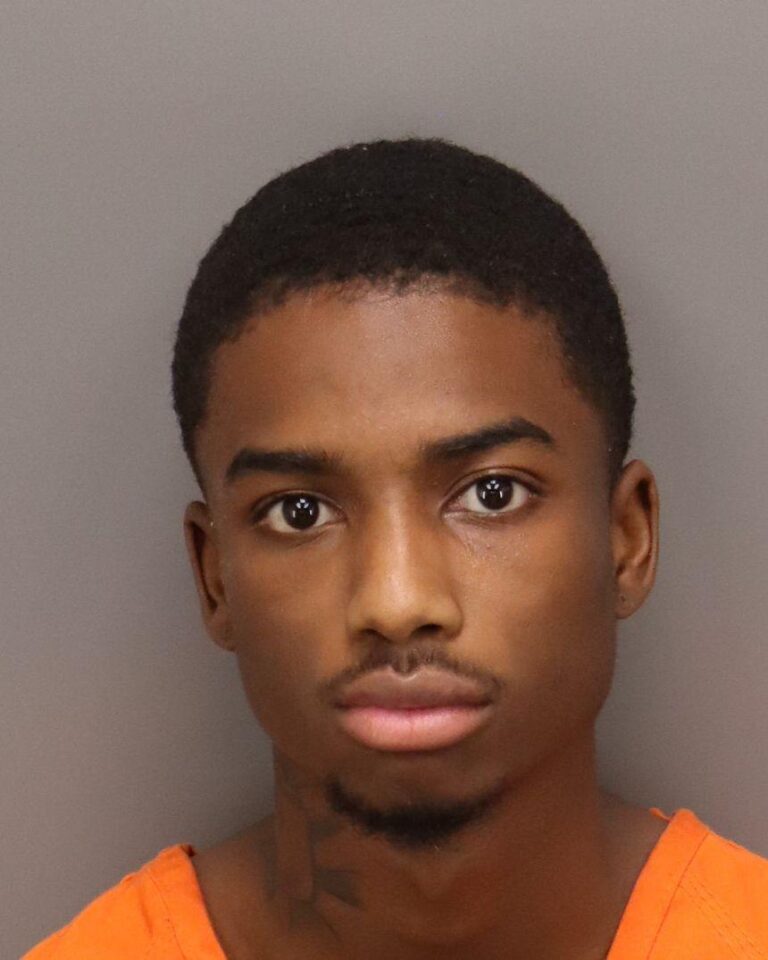 Four arrested for Murder in St. Petersburg Shooting - IONTB