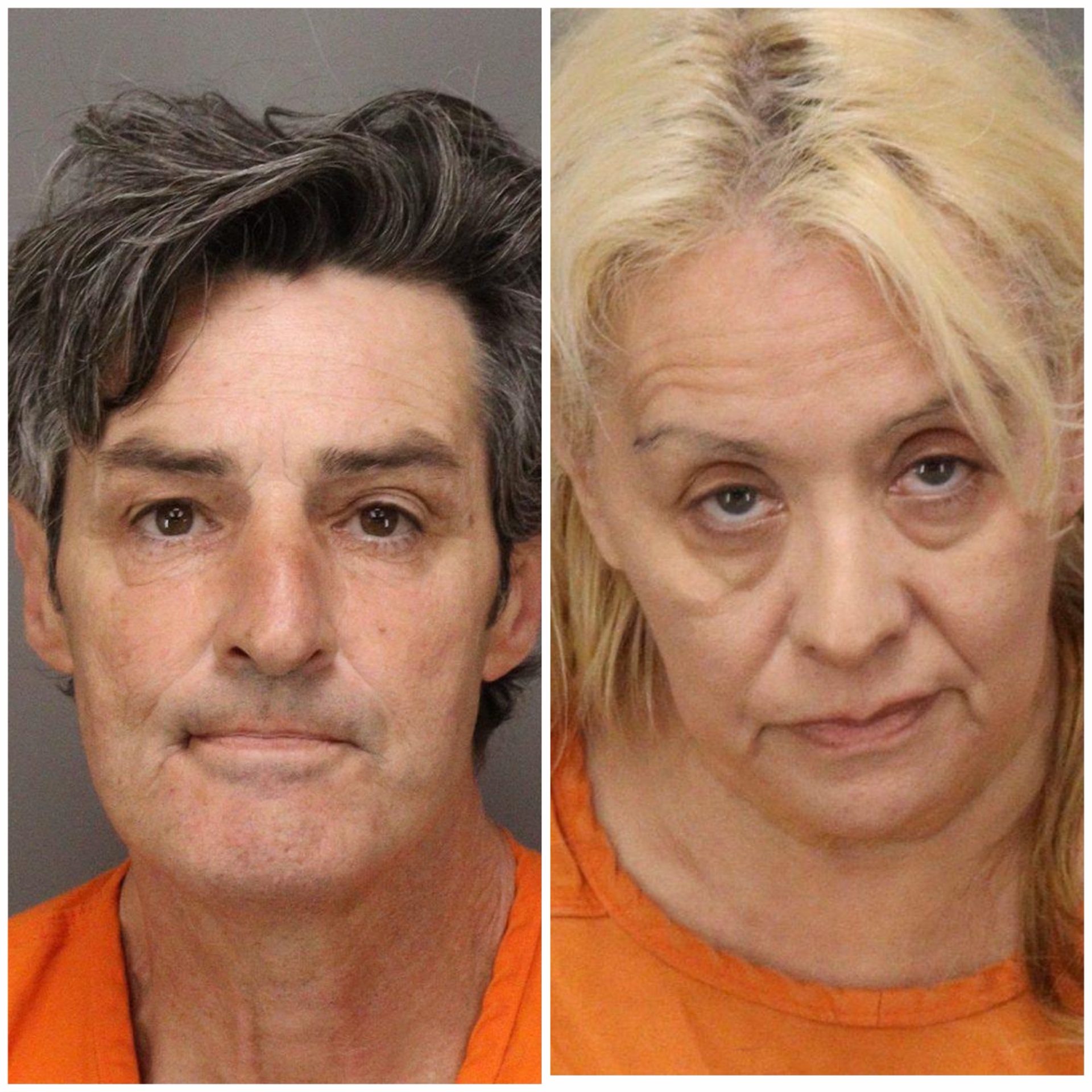 Couple Charged After Dog Left in Car During Concert at Clearwater ...